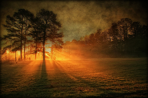 Dawn | Learning and Creativity - Silhouette