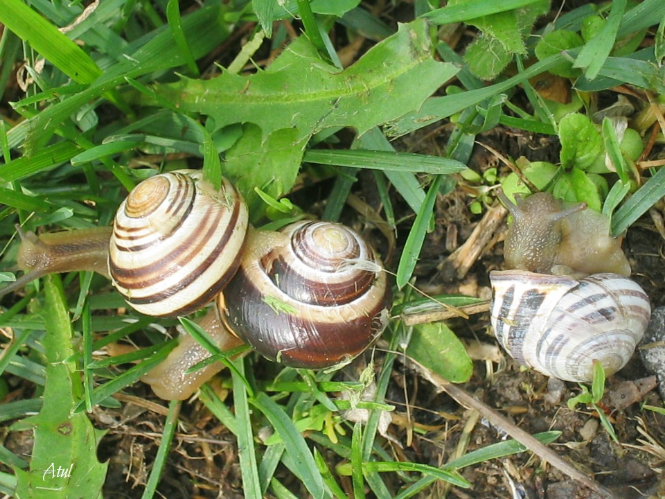 Ontario Canada | Learning and Creativity - Silhouette