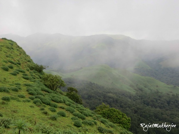 Coorg-Karnataka | Learning and Creativity - Silhouette