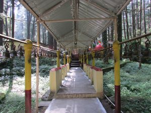 Explore Tarkeshwar Mahadev Temple, Uttarakhand | By Nitin Kumar | LnC